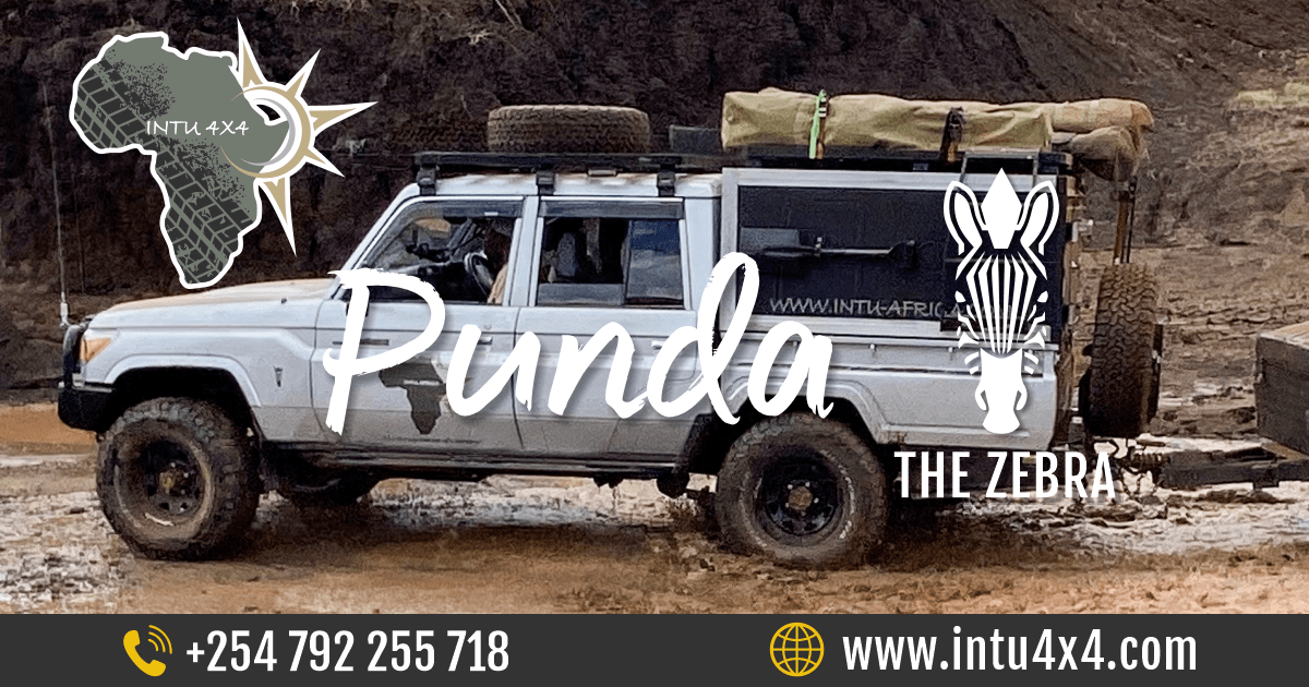 Punda 🦓 The Zebra - 4x4 Vehicle Hire - Intu 4x4 Kenya