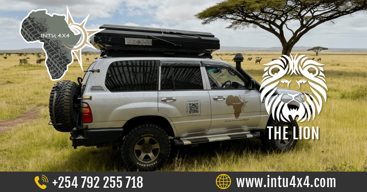 Simba 🦁 The Lion - 4x4 Vehicle Hire - Intu 4x4 Kenya
